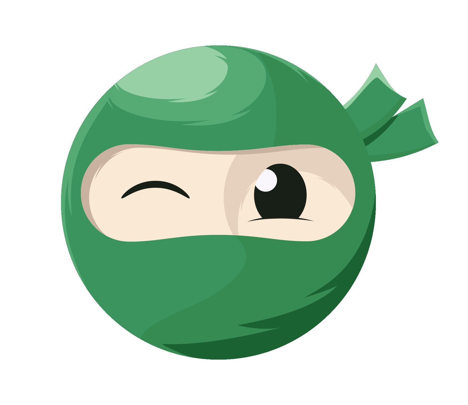 Merch – Crafty Ninja Shop